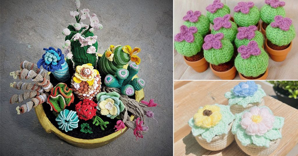 11 Crochet Flowering Succulents Free Patterns - Crocht