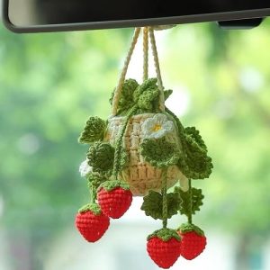 10 Crochet Unique Car Plant Hanger Free Patterns - Crocht